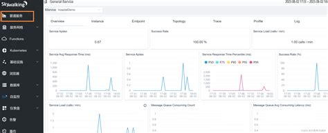 Spring Boot 集成 Skywalking 配置 Skywalking 打不开【已解决】windows Skywalking
