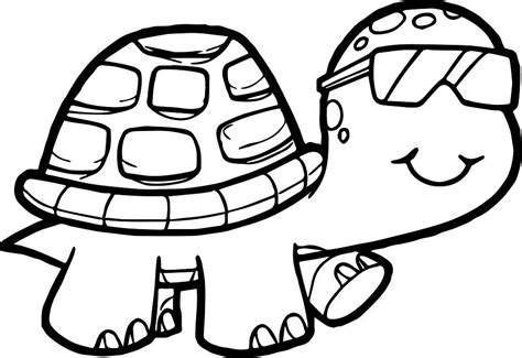 Cool Turtle