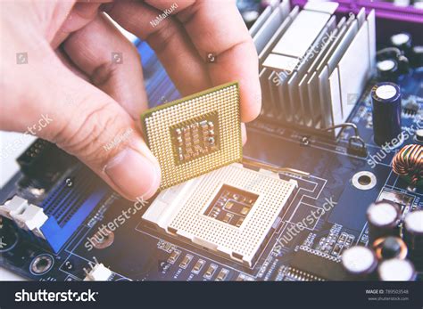 Technician Installing Cpu Chip Microprocessor Socket Stock Photo 789503548 Shutterstock