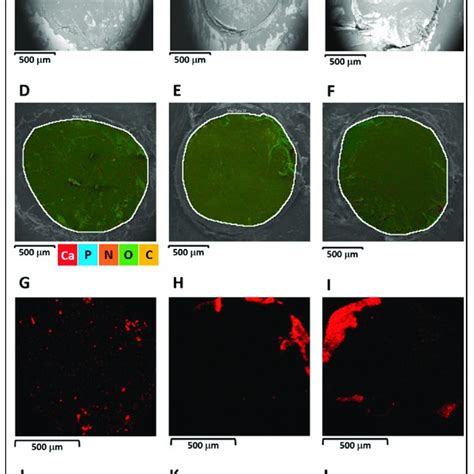 bs sem images a c multi element edx mapping d f calcium edx