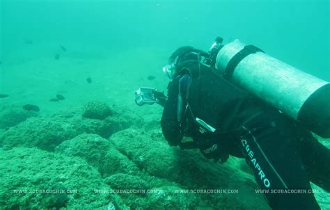Kovalam Dive Site Padi