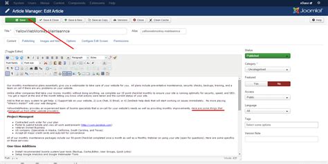 Apply Styles To Text Bold Italics Etc YellowWebMonkey Web Design