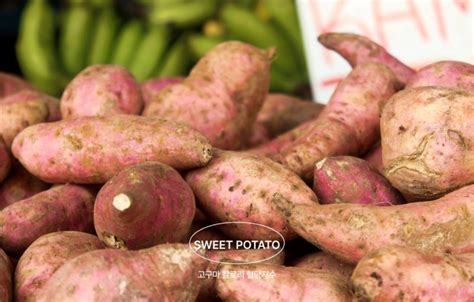 고구마 칼로리 100g당 1개 생 찐 구운 말린 및 혈당 지수 Gi 네이버 블로그
