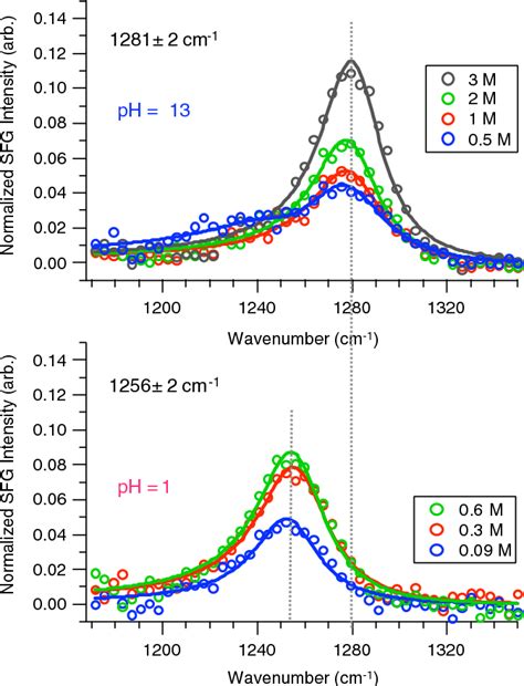Phenol Explorer Semantic Scholar