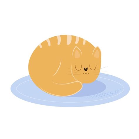 Premium Vector Black Cute Cat Sleeping Curled Up In A Ball In Cartoon
