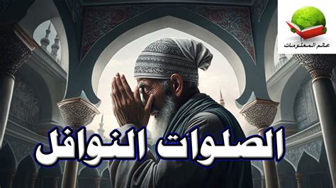 السنن الرواتب في المذاهب الأربعة حكم صلاة السنة بعد كل فريضة Youtube