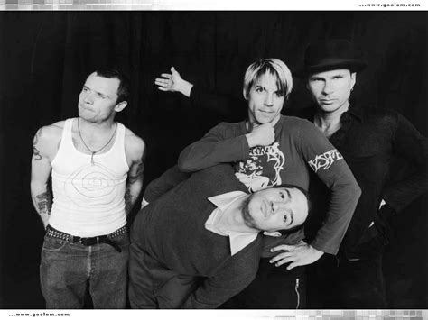Red Hot Chili Peppers Californication Wallpaper