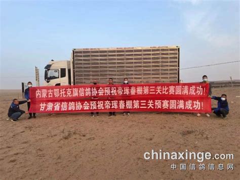 甘肃帝珲第三关400公里预赛开笼公告 甘肃庆阳帝珲赛鸽春棚 中信网各地公棚