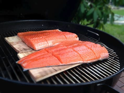 Weber Fisch Grillen Fischlexikon
