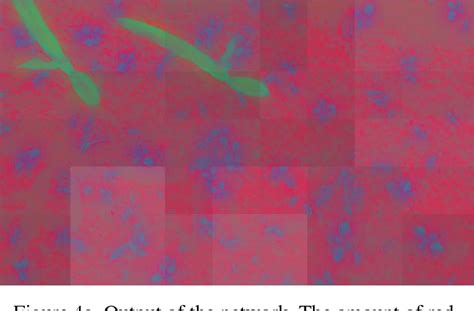 Figure 3 From Pixel Wise Classification Of Weeds And Crops In Images By