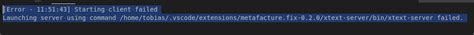 vsc extension does not start connect xtext server · issue 315