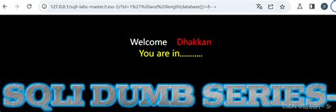 sql注入（二）盲注，二次注入，宽字节注入 盲参数系统调用代码注入 csdn博客