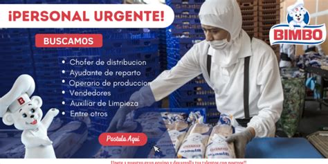 BIMBO Nueva Convocatoria Laboral Trabajos Mas