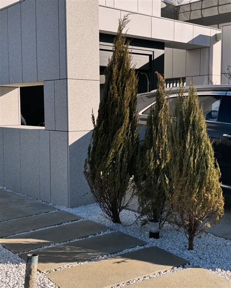 리프리오 인테리어• 플랜테리어 Leaflioofficial • Instagram Photos And Videos