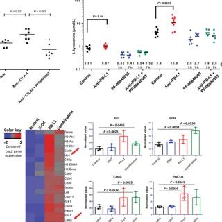 Anti PD L1 And Anti CTLA 4 Induce IDO1 Activity As Demonstrated In