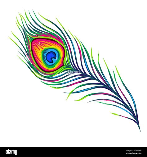 Stylized Illustration Of Peacock Feather Image For Design Or
