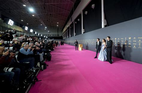 La Alfombra Roja De Los Goya 2025 Premios Goya 2025