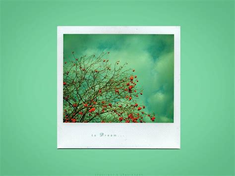 Polaroid Wallpapers Wallpaper Cave