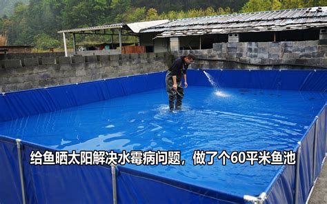 丰水期没法利用自然溪流治疗水霉病，花3000搞个能晒太阳的鱼池试试效果 爱野钓的小范 爱野钓的小范 哔哩哔哩视频
