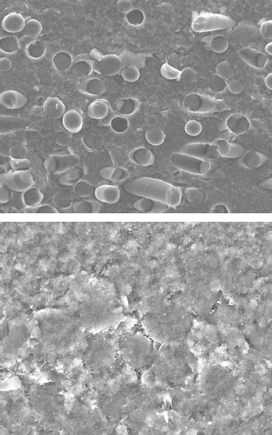Fracture Surfaces Of The Sic Sic Composites Sintered At 1750°c A Download Scientific Diagram