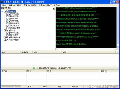 网络安全与漏洞扫描技术详解 Csdn博客