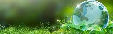 天良生物科技企業股份有限公司 天良生物科技從事中西藥之批發零售