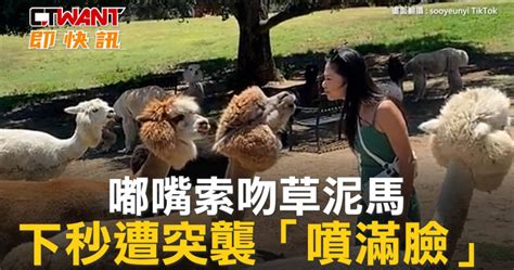嘟嘴索吻草泥馬 下秒遭突襲「噴滿臉」 影音 Ctwant