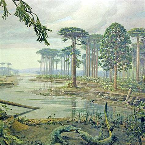 10 Of The Most Fascinating Extinct Trees Tips Tree Planting