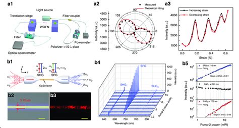 Second Order Nonlinear Optics In Hybrid Microfiber 2d Materials Download Scientific Diagram