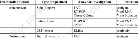 Detection And Confirmation Of Rabies Infection Through Various Assays