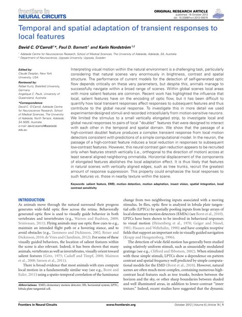 Pdf Temporal And Spatial Adaptation Of Transient Responses To Local