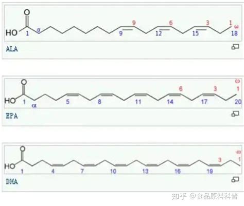 油脂中的脂肪酸介绍 知乎