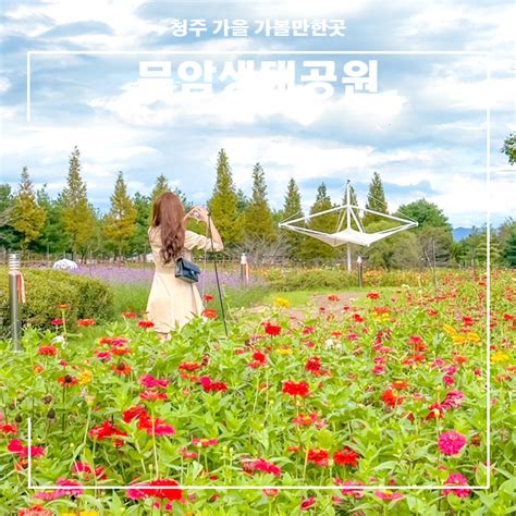 가을 청주 드라이브 가볼만한곳 문암생태공원 당일 바베큐장 파티 피크닉 장소 9월 여행지 추천 네이버 블로그