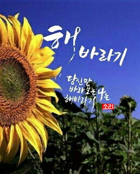 캘리그라피 네이버 블로그