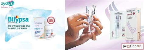 Zydus Lifesciences Buyback Record Date 2024 Acceptance Ratio Profit