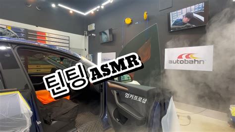 테슬라 모델y Asmr 옵티멈xt Youtube