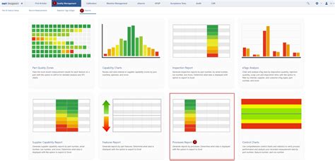 Process Capability Report Net Inspect