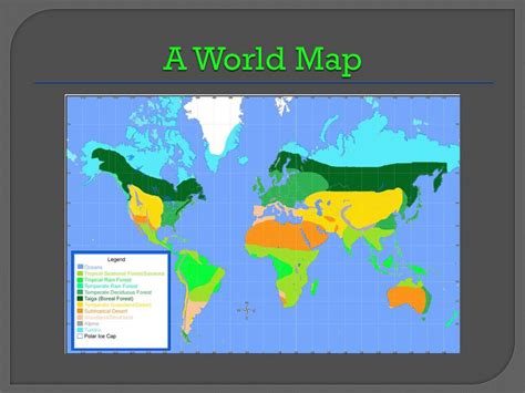 Temperate Deciduous Forest Map