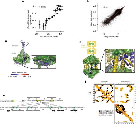 Orthogonal Validation Of Growth Rate Inference Structural Explanation