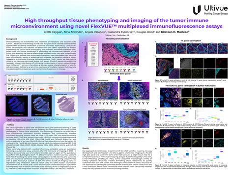High Throughput Tissue Phenotyping And Imaging Ultivue
