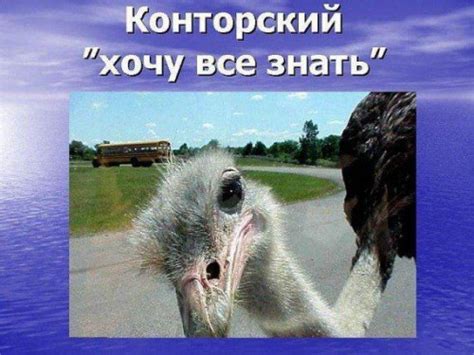 Скачать прикольные и красивые картинки Картинки про работу на Fun