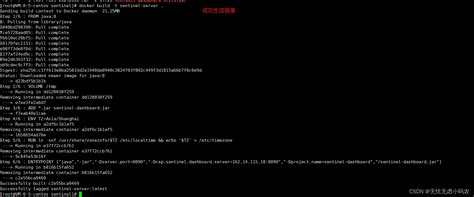 Sentinel 安装（打包镜像） Sentinel Application Platform安装包 Csdn博客