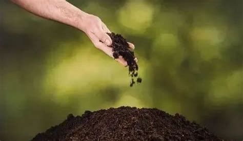 什么是土壤微生物它对土壤改良及作物生长有什么影响 土壤改良 新农资360网土壤改良果树种植蔬菜种植种植示范田品牌展播农资微专栏