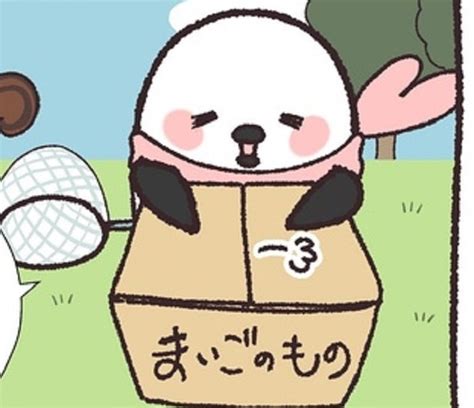 「おまえのために言っているんだ！」「もう絶交だ！」その喧嘩、売り言葉に買い言葉かも…？本音じゃない言葉をしまうシマエナガが「尊い」「癒やし