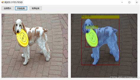 [c ]使用onnxruntime部署yolov11 onnx实例分割模型 ew帮帮网