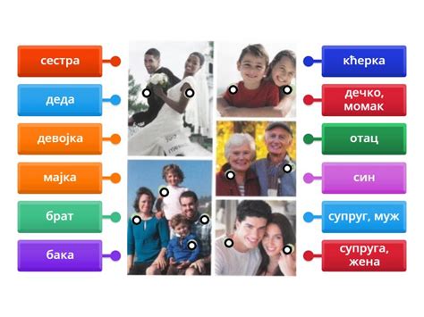 Породица Labelled Diagram