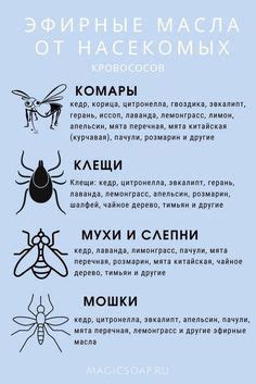 Эфирные масла против комаров (и других кровосососов + 10 смесей ...