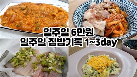 일주일 6만원으로 식비절약 집밥1~3일차 대파마늘 삼치구이 연근강정 로제찜닭 다시마묵사발 양배추활용요리 매운버섯덮밥 들깨간장국수 Youtube