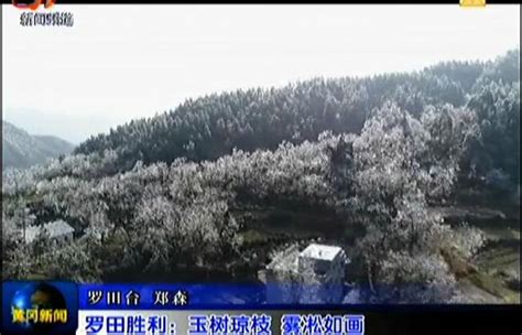 羅田勝利鎮現霧凇美景 每日頭條