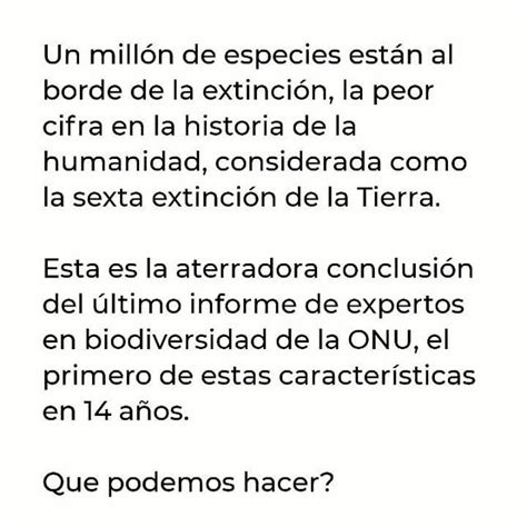 Un Millón De Especies Están Al Borde De La Extinción La Peor Cifra En